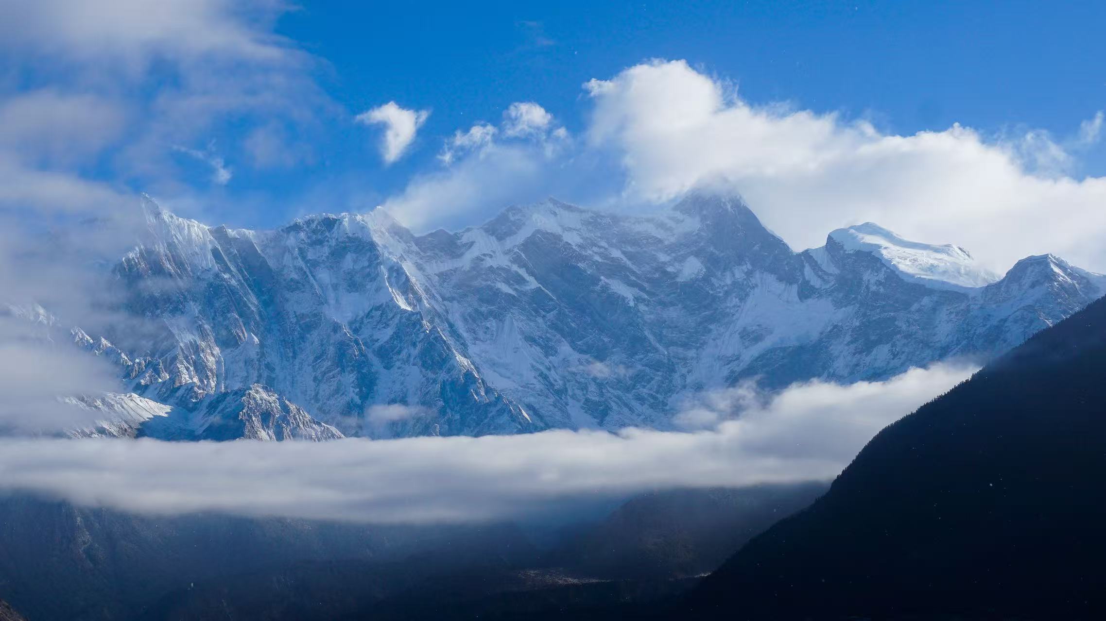 2022 Summary🌖 | Shijia's Blog