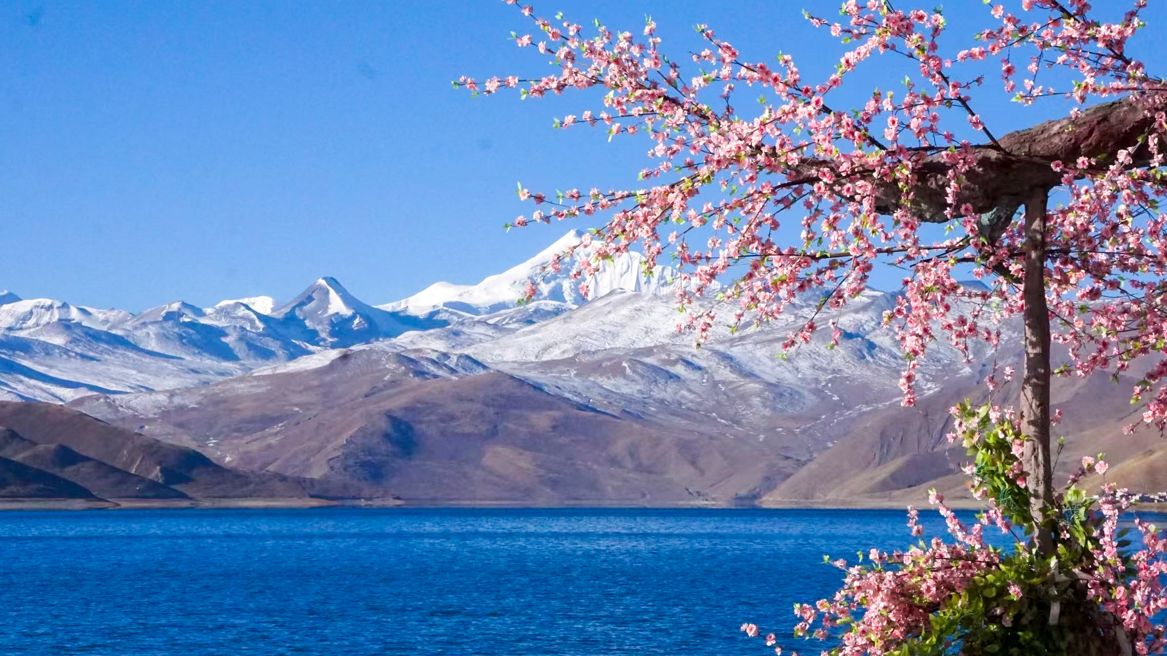 2022 Summary🌖 | Shijia's Blog