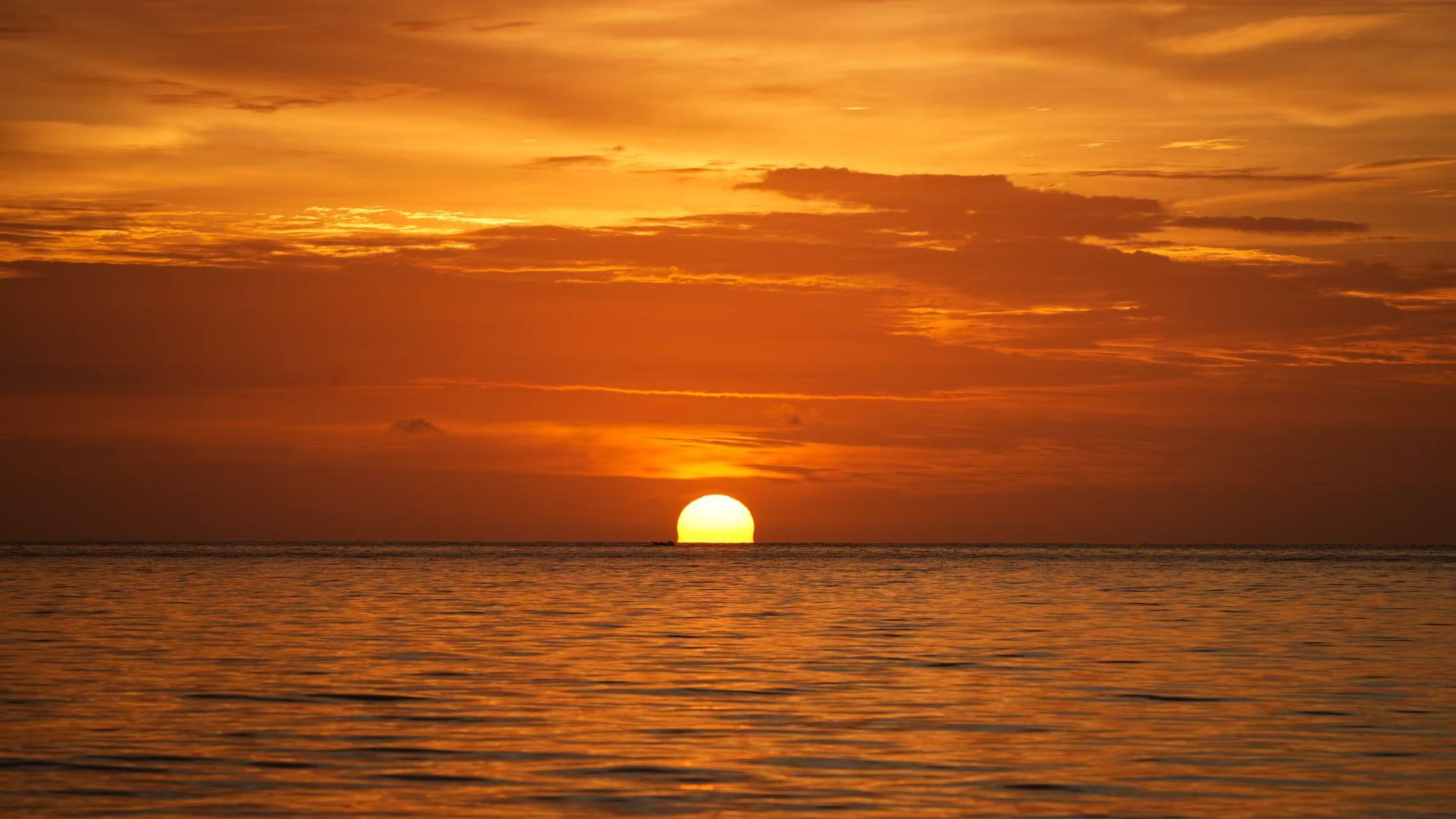 2024 Summary🎉 | Shijia's Blog